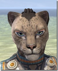 ESO Fashion | Anvil Sunset Eyeshadow (Elder Scrolls Online)