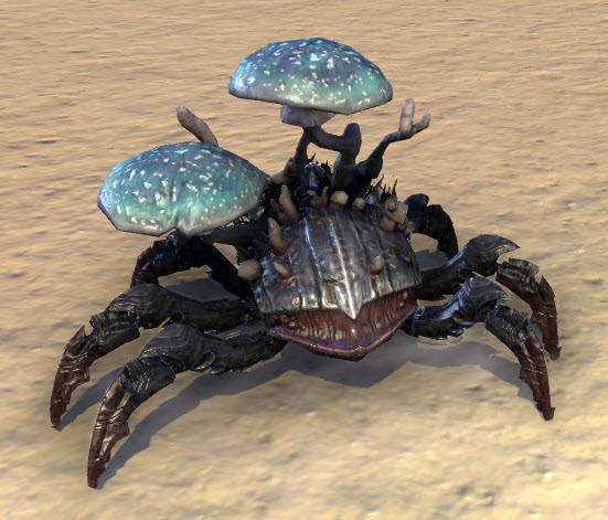 ESO Fashion | Blue-Cap Shroom Shalk (Elder Scrolls Online)