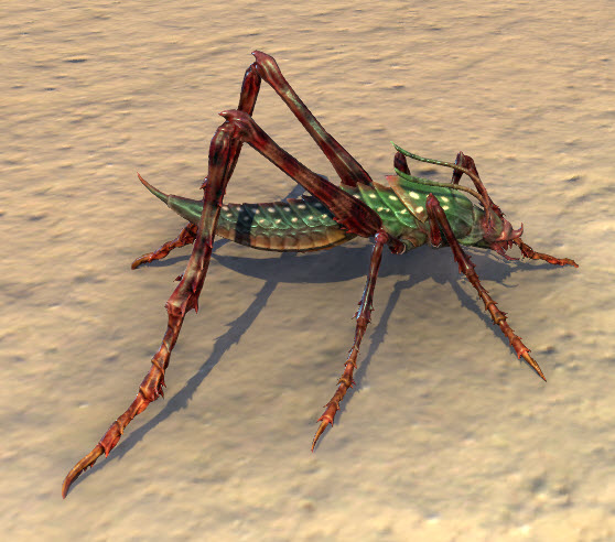 ESO Fashion | Deep-Moss Ash Hopper (Elder Scrolls Online)