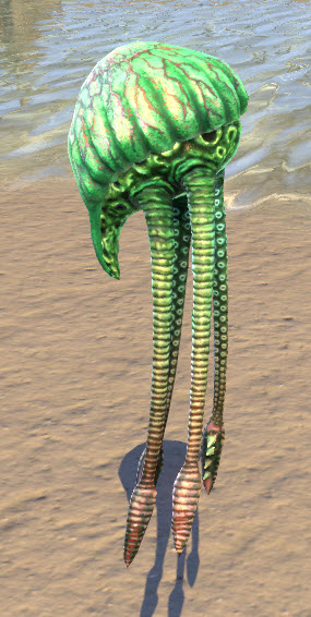 ESO Fashion | Mossy Netch Calf (Elder Scrolls Online)