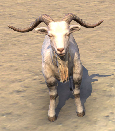 ESO Fashion | Ninendava Sacred Goat (Elder Scrolls Online)