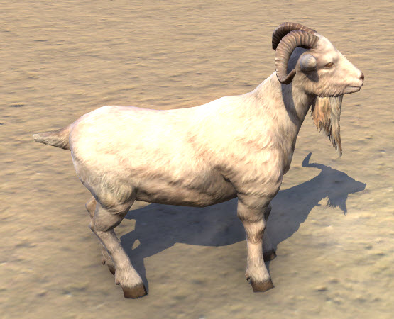 ESO Fashion | Ninendava Sacred Goat (Elder Scrolls Online)