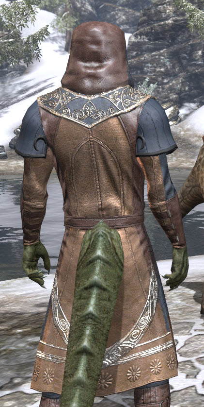 ESO Fashion | Telvanni Wizard-Lord Robe (Elder Scrolls Online)