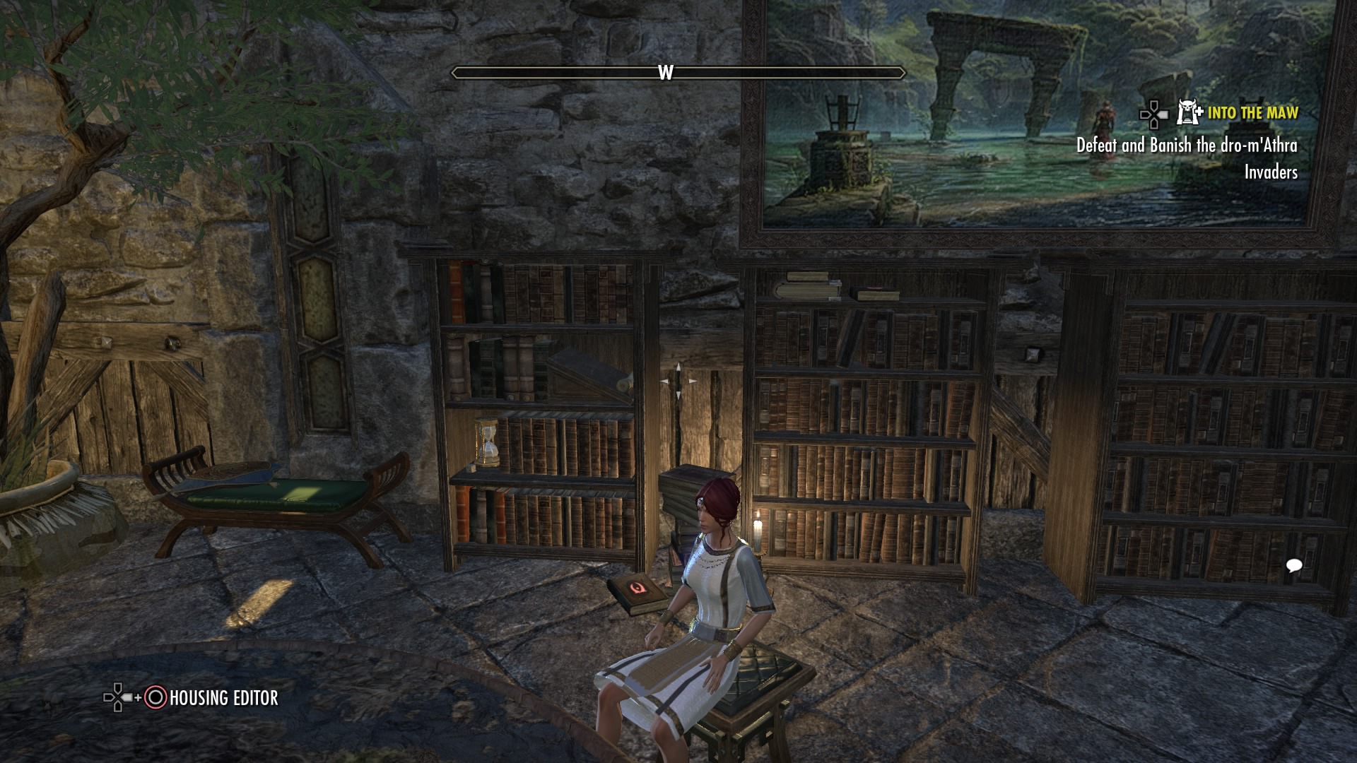 ESO Fashion | The library of Spirit and Time [PS4] (Elder Scrolls Online)