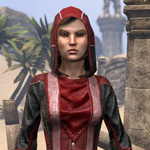 ESO Fashion | Collections Items (Runebox) (Elder Scrolls Online)
