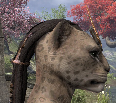 ESO Fashion | Star-Made Sword Coronet (Elder Scrolls Online)