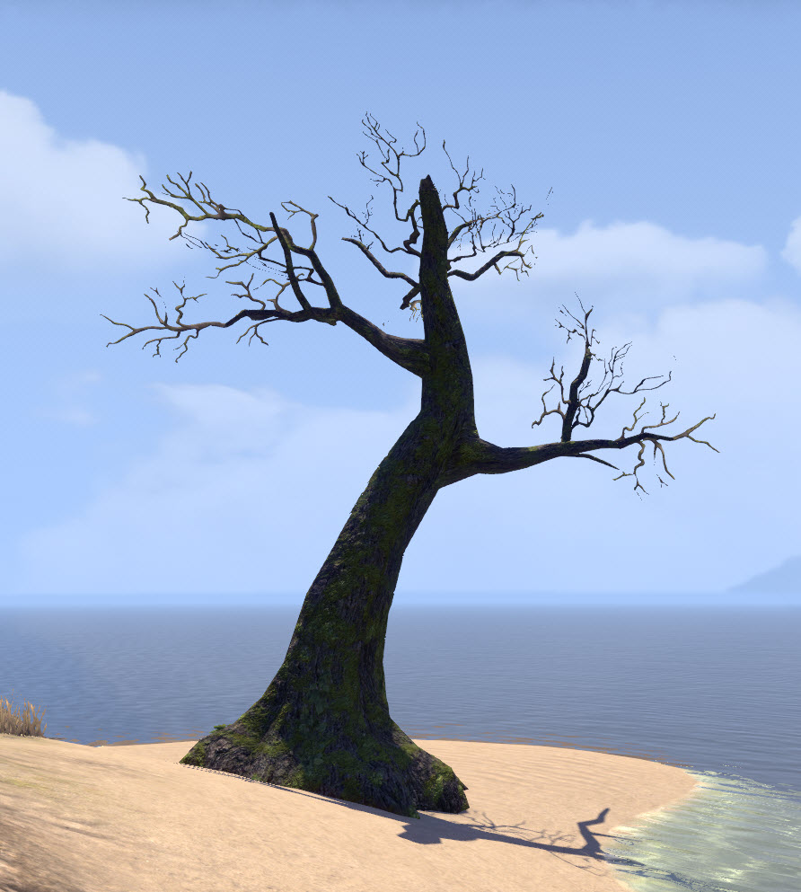 ESO Fashion | Tree, Dead Swamp (Elder Scrolls Online)