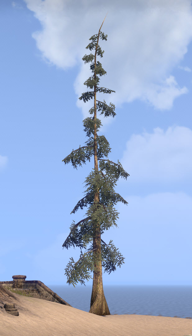 ESO Fashion | Tree, Towering Mountain Pine (Elder Scrolls Online)