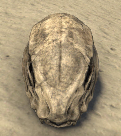 ESO Fashion | Sacred Guar Skull (Elder Scrolls Online)