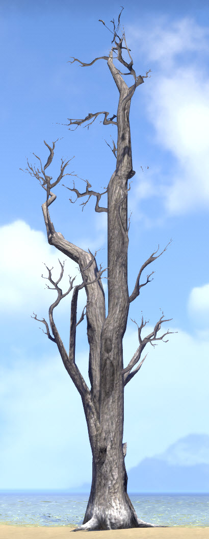 ESO Fashion | Tree, Petrified Ashen (Elder Scrolls Online)