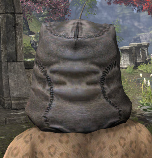 ESO Fashion | Death Grin Skull Mask (Elder Scrolls Online)