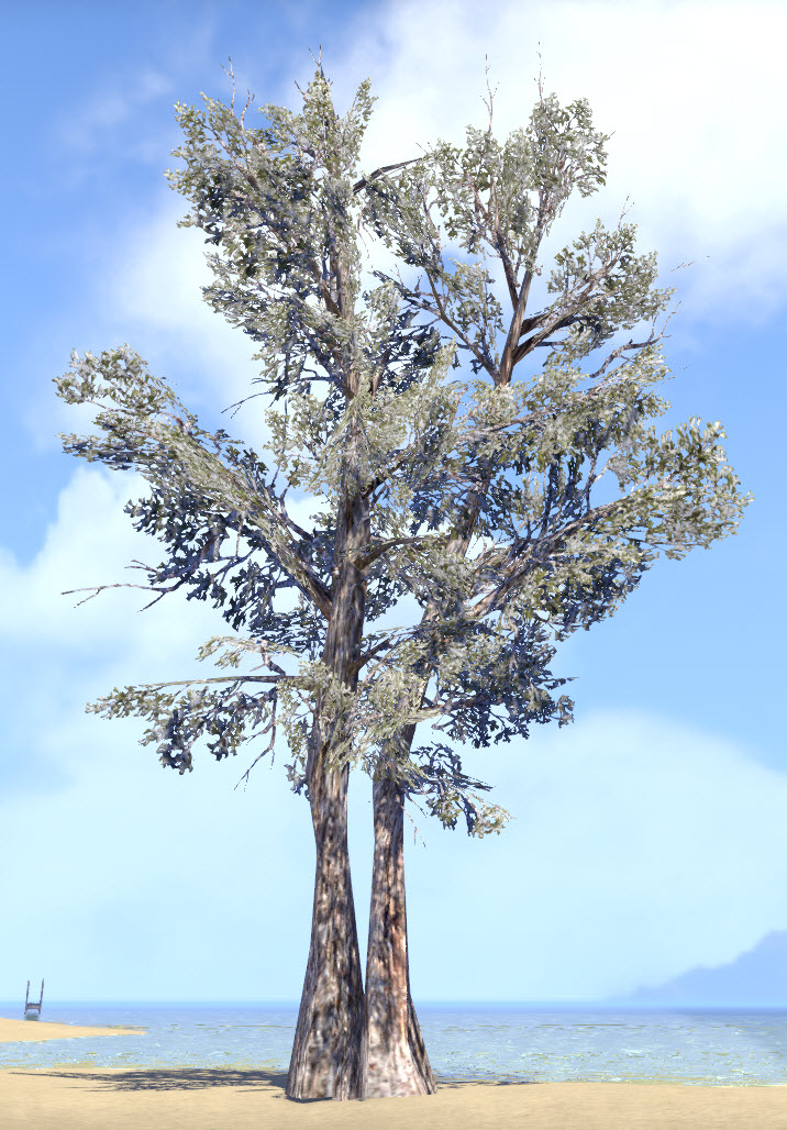 ESO Fashion | Trees, Snowswept Pair (Elder Scrolls Online)