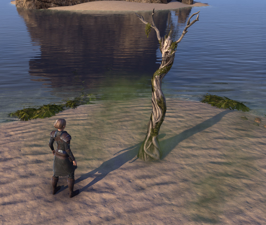 ESO Fashion | Witch's Totem, Bog (Elder Scrolls Online)