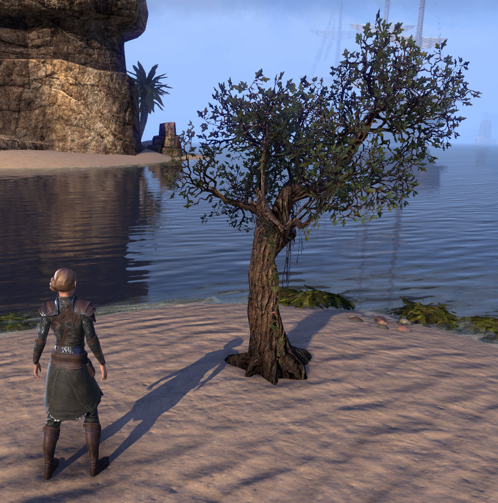 ESO Fashion | Witch's Tree, Captive (Elder Scrolls Online)