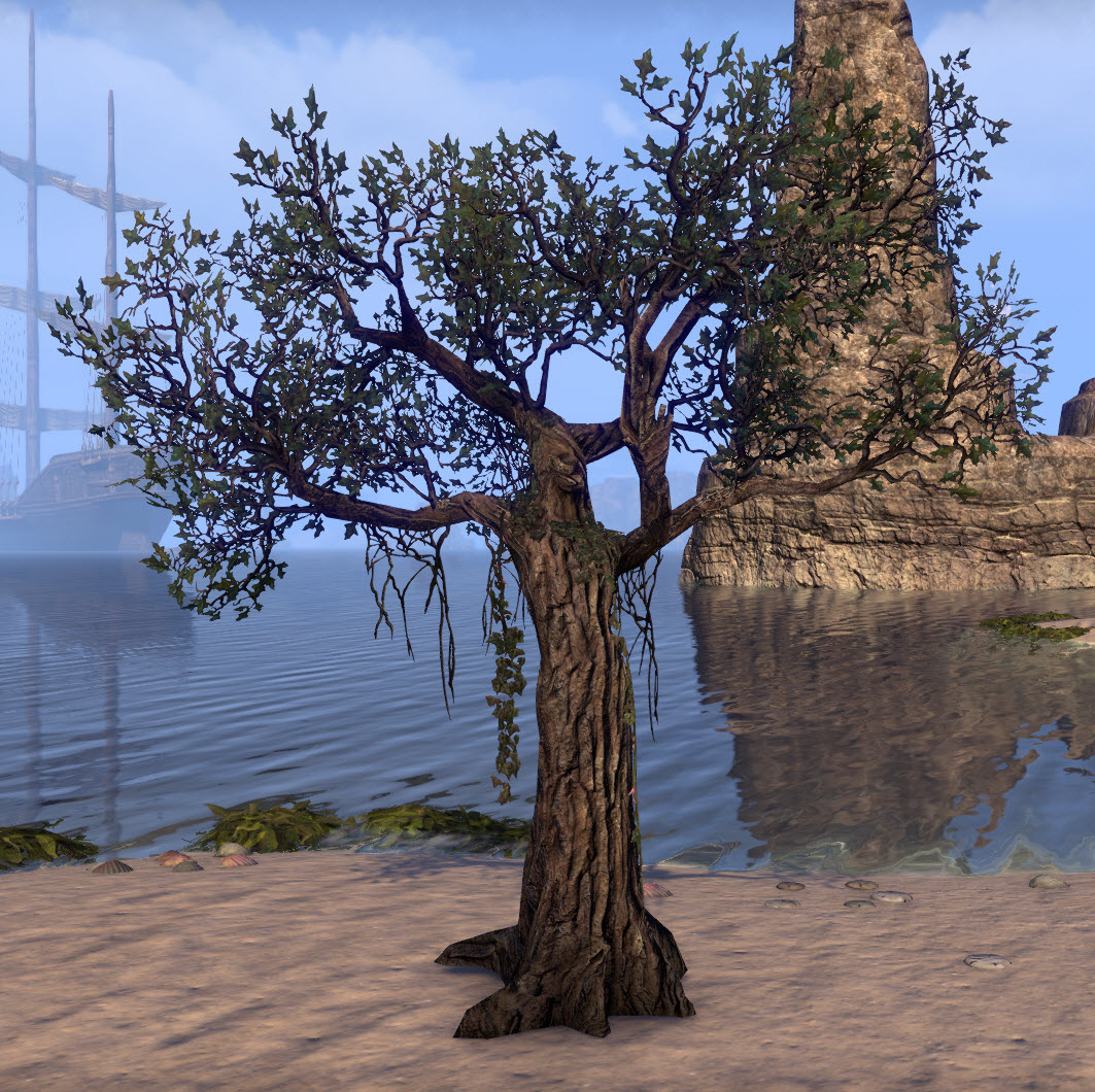 ESO Fashion | Witch's Tree, Captive (Elder Scrolls Online)