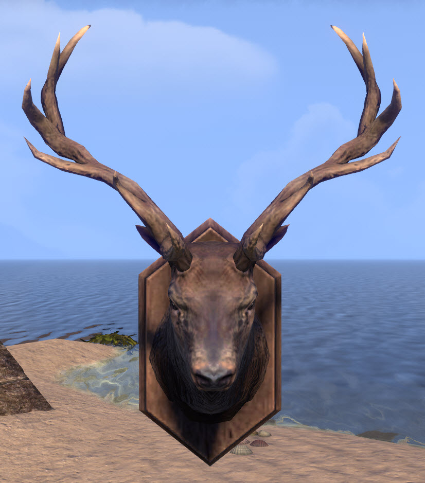 ESO Fashion | Elk Head, Wall Mount (Elder Scrolls Online)
