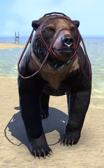 ESO Fashion | Tuxedo Bear (Elder Scrolls Online)