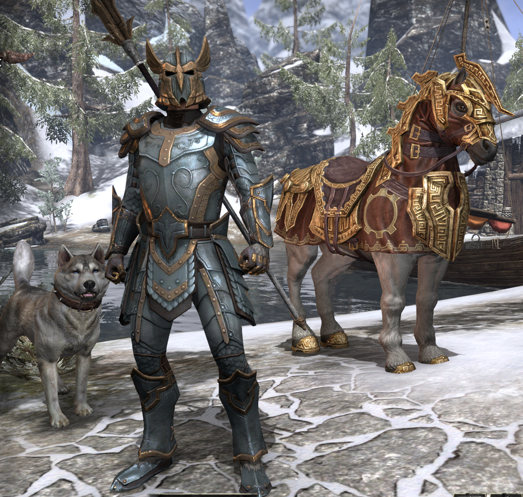 ESO Fashion | Mordastyr Hawkhart [NA] (Elder Scrolls Online)