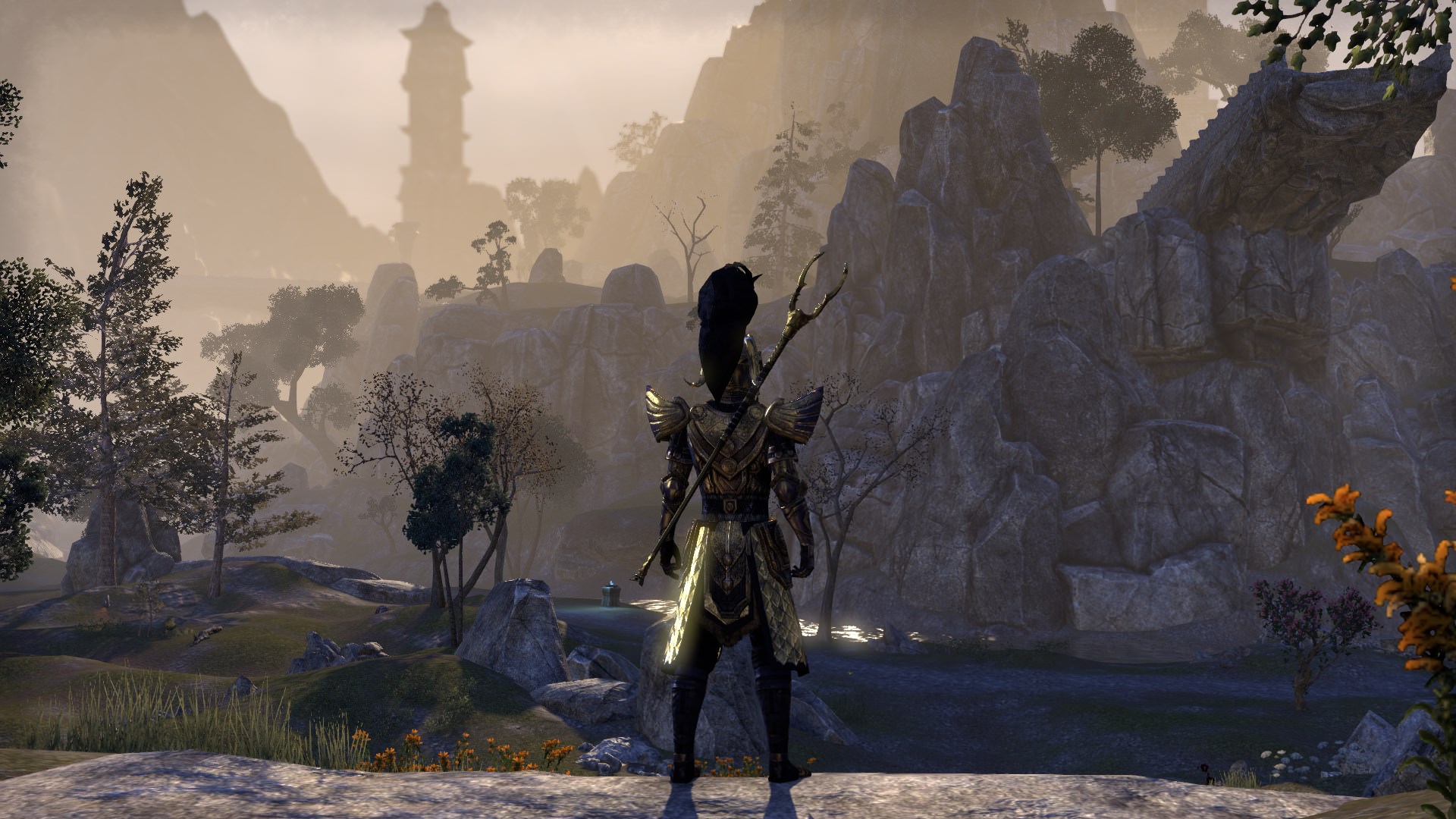 ESO Fashion | Golden Warrior [NA] (Elder Scrolls Online)