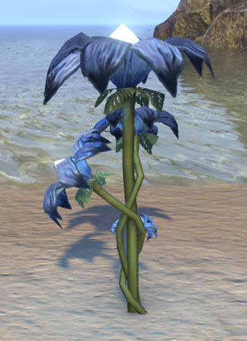 ESO Fashion | Flowers, Blue Starbloom (Elder Scrolls Online)