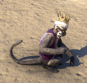 ESO Fashion | Madcap Jester Monkey (Elder Scrolls Online)