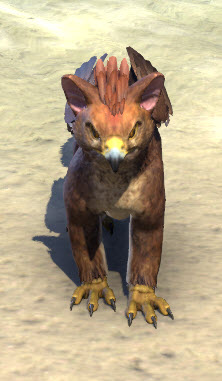 ESO Fashion | Fledgling Gryphon (Elder Scrolls Online)