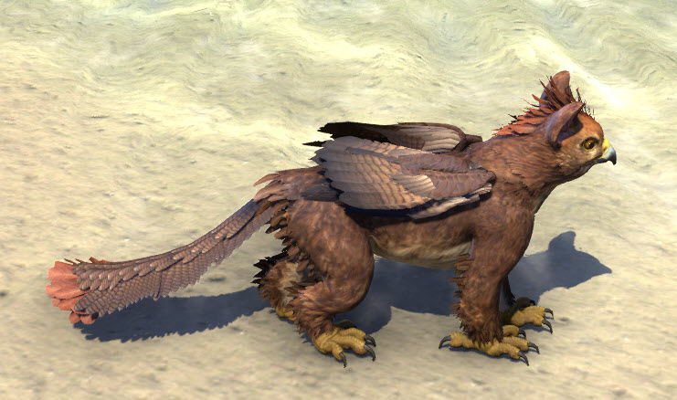 ESO Fashion | Fledgling Gryphon (Elder Scrolls Online)