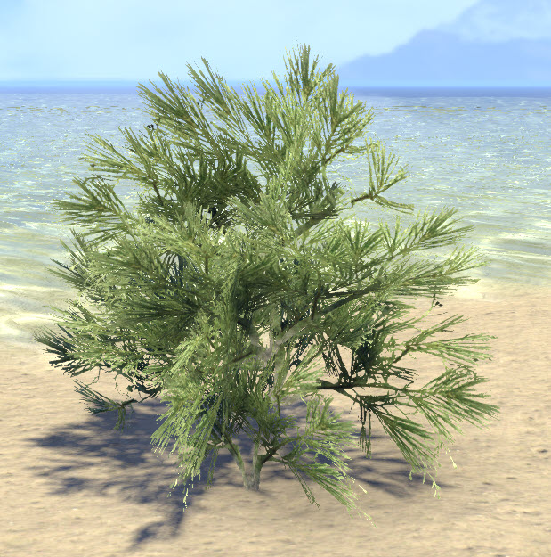 ESO Fashion | Bush, Summerset Spruce (Elder Scrolls Online)