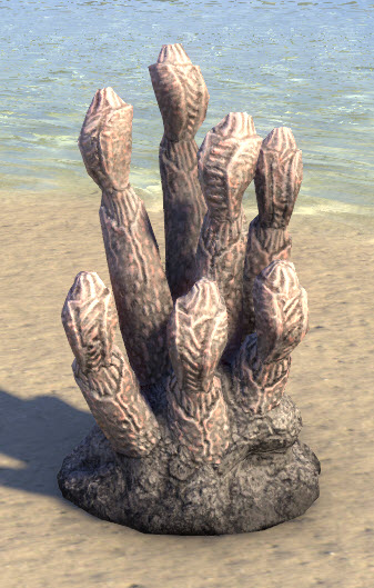 ESO Fashion | Coral Formation, Pillar Polyps (Elder Scrolls Online)