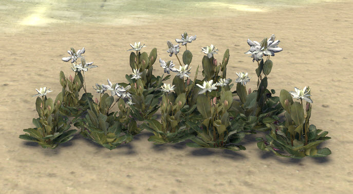 ESO Fashion | Flowers, Lizard Tail Patch (Elder Scrolls Online)