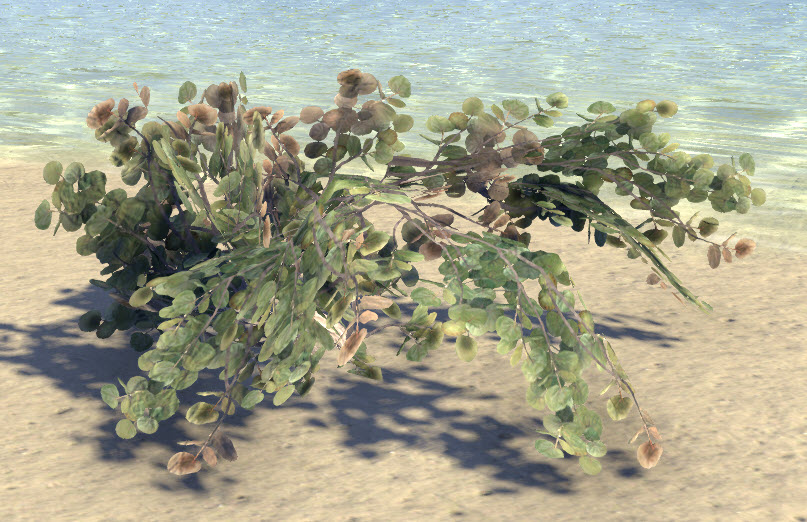ESO Fashion | Plant, Sea Grapes (Elder Scrolls Online)