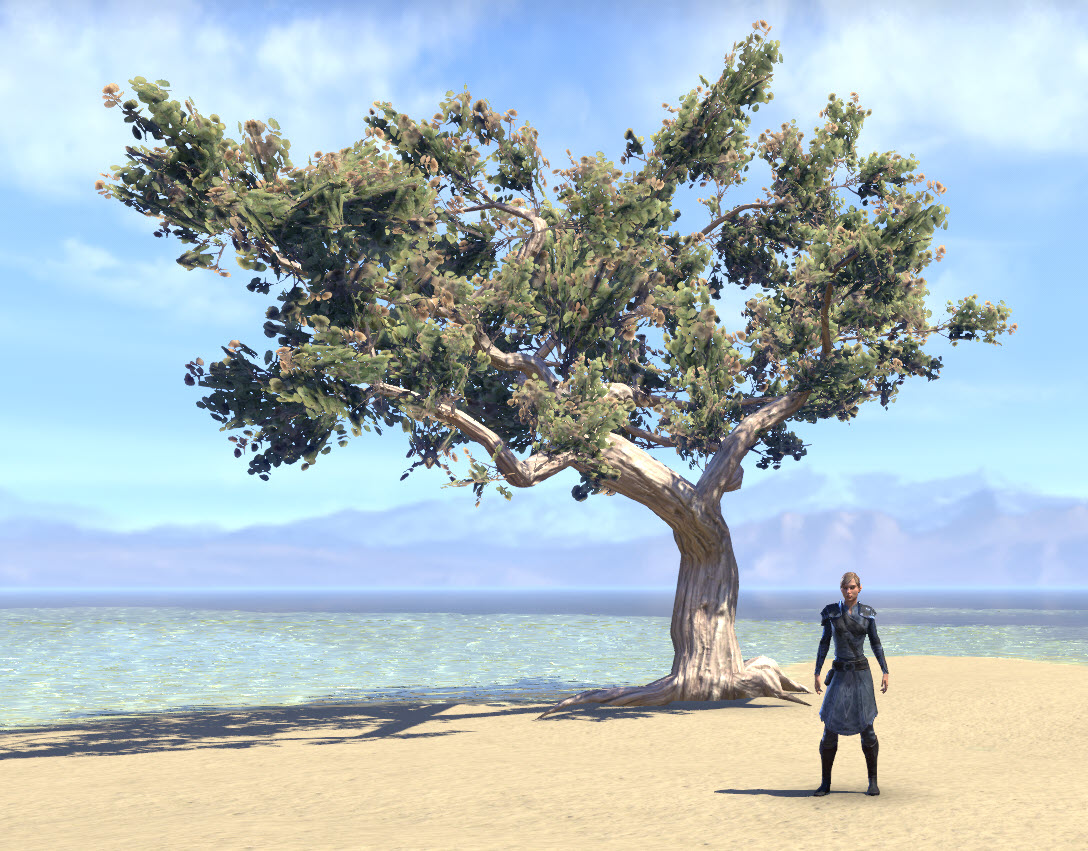 ESO Fashion | Tree, Sea Grapes (Elder Scrolls Online)