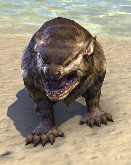 ESO Fashion | Longhair Welwa (Elder Scrolls Online)