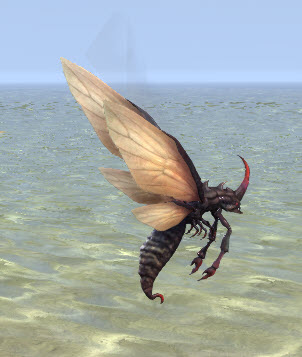 ESO Fashion | Skein Wasp (Elder Scrolls Online)