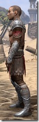 ESO Fashion | Arena Gladiator (Elder Scrolls Online)