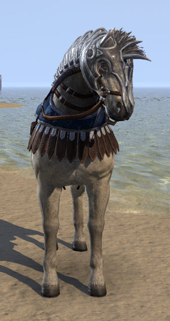 ESO Fashion | Silver Dawn Argent Charger (Elder Scrolls Online)