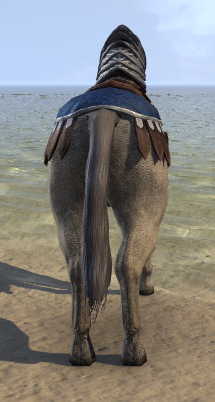 ESO Fashion | Silver Dawn Argent Charger (Elder Scrolls Online)