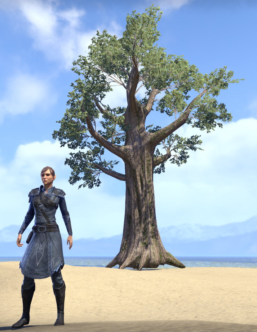 ESO Fashion | Tree, Ancient Fig (Elder Scrolls Online)
