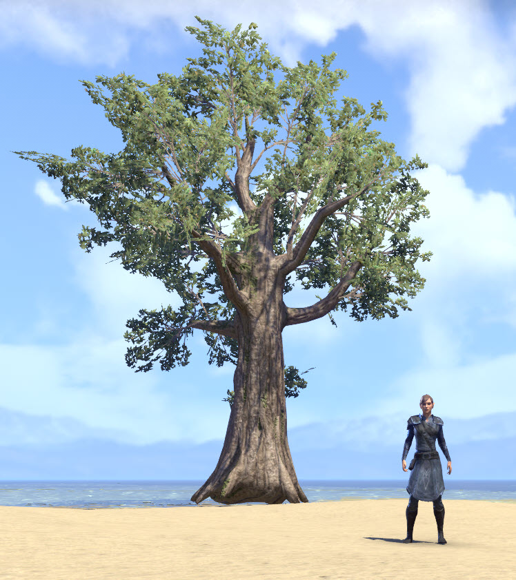 ESO Fashion | Tree, Robust Fig (Elder Scrolls Online)