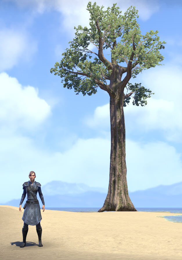 ESO Fashion | Tree, Towering Fig (Elder Scrolls Online)