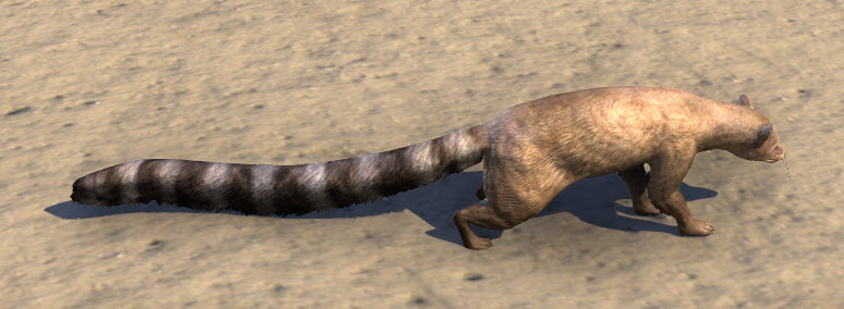 ESO Fashion | Alinor Ringtail (Elder Scrolls Online)