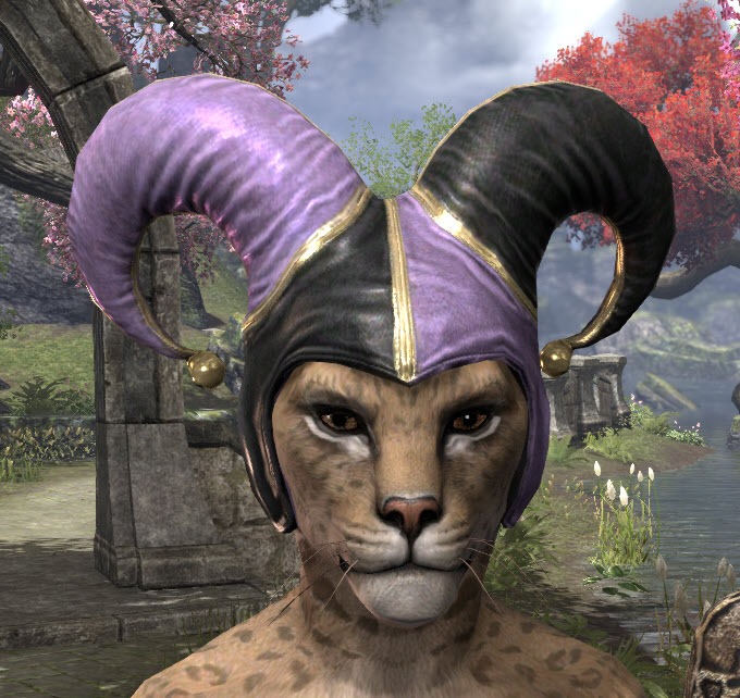 ESO Fashion | Bi-Color Coxcomb Cap (Elder Scrolls Online)