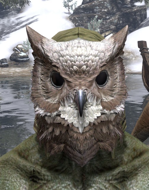 Eso Fashion Jhunal S Owl Mask Elder Scrolls Online