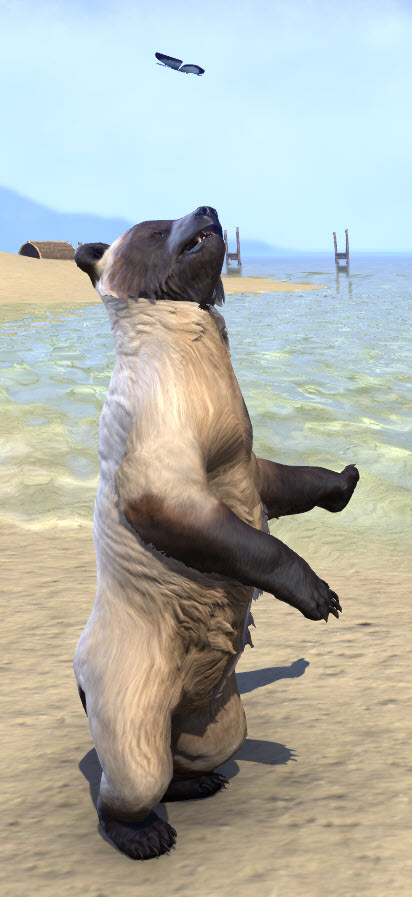 ESO Fashion | Atmoran Snow Bear Cub (Elder Scrolls Online)