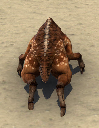 ESO Fashion | Fawn Echalette (Elder Scrolls Online)