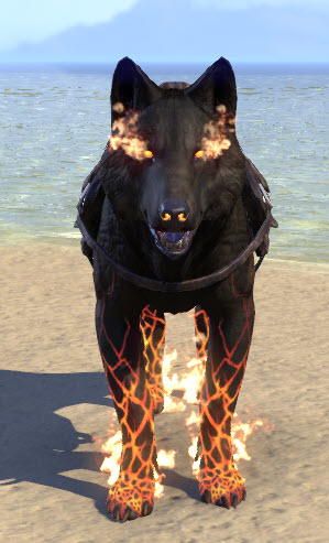 ESO Fashion | Packlord Nightmare Wolf (Elder Scrolls Online)