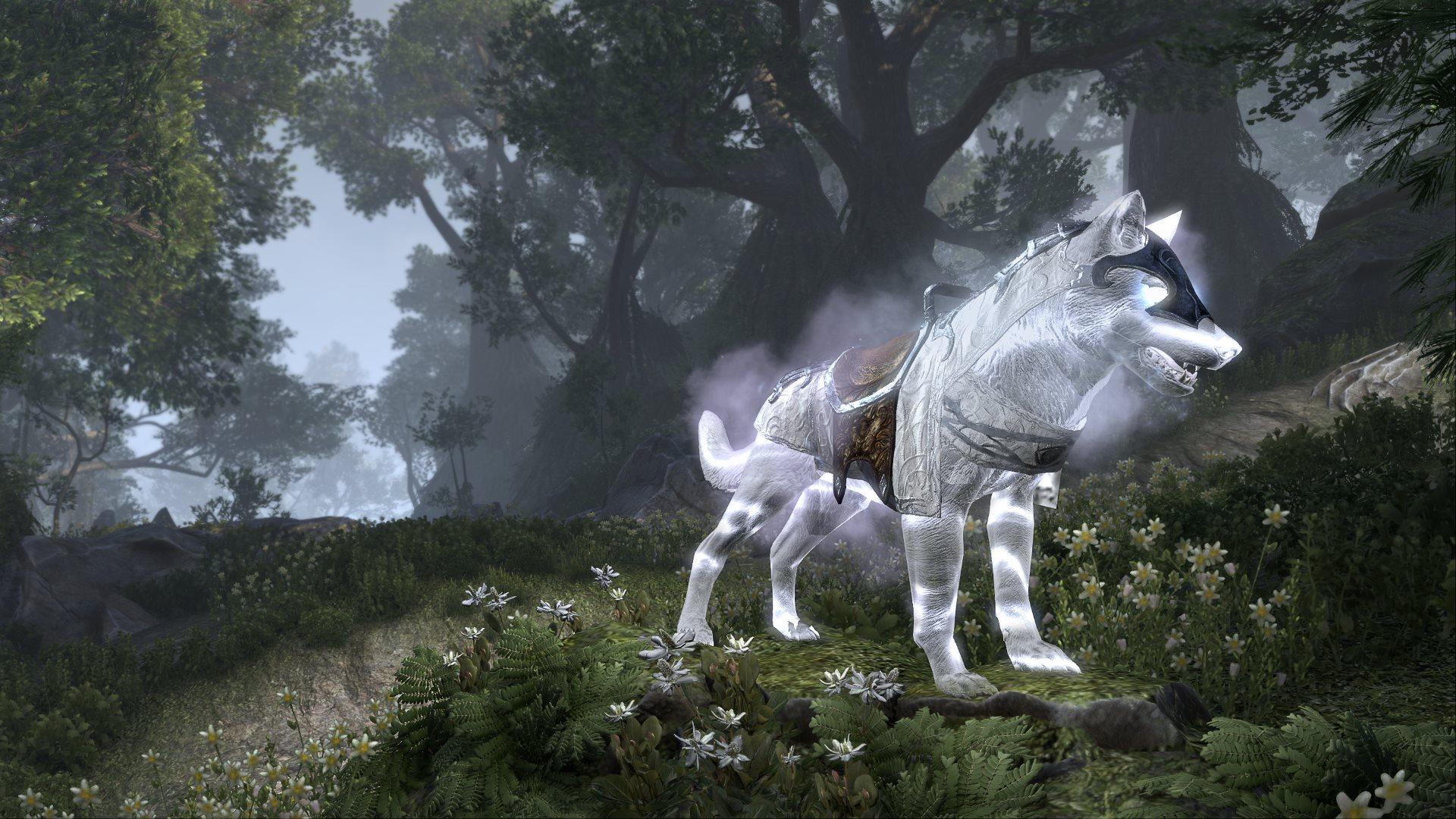 ESO Fashion | Psijic Vault Crown Crates (Elder Scrolls Online)