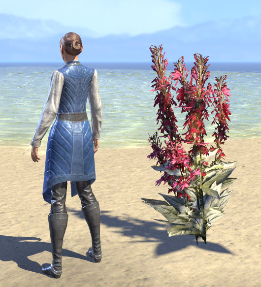 ESO Fashion | Plant Cluster, Cardinal Flower (Elder Scrolls Online)