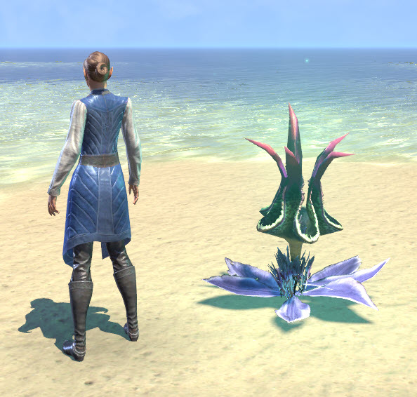 ESO Fashion | Plant, Luminous Lantern Flower (Elder Scrolls Online)