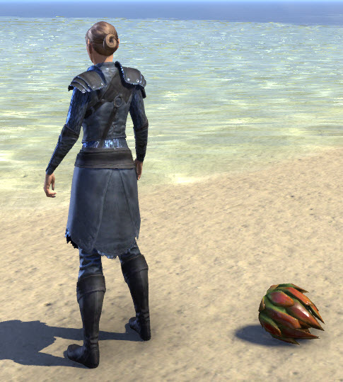 ESO Fashion | Reach Briarheart, Blood Red (Elder Scrolls Online)